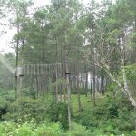 High Elements Obstacle Course - Happy Sparrow